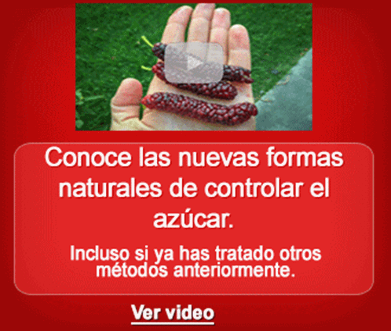 Como Bajar La Glucosa Gamboa